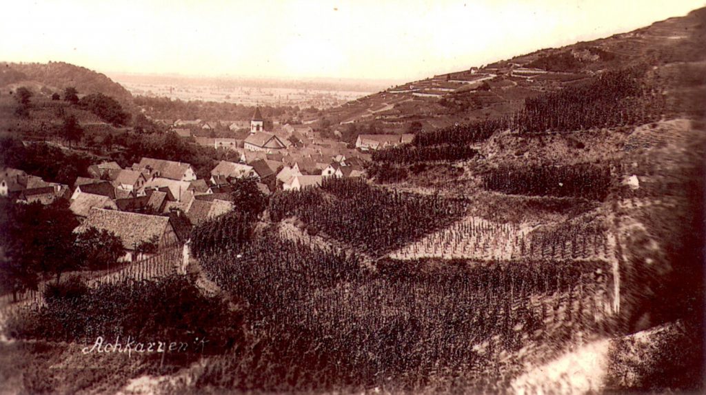 Die Krone – Die Achkarrer Krone